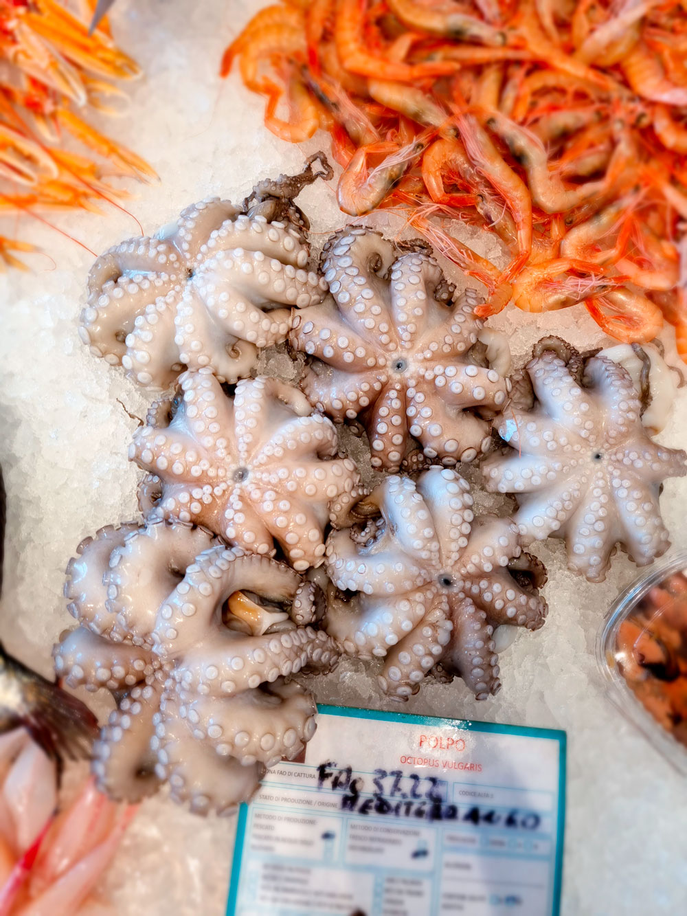Il polpo fresco a Bari: tradizione e qualità da Marisqueria - La ...